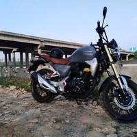 大阳摩托车,天昴 DY 200-8报价及图片-摩托范-摩托车官网