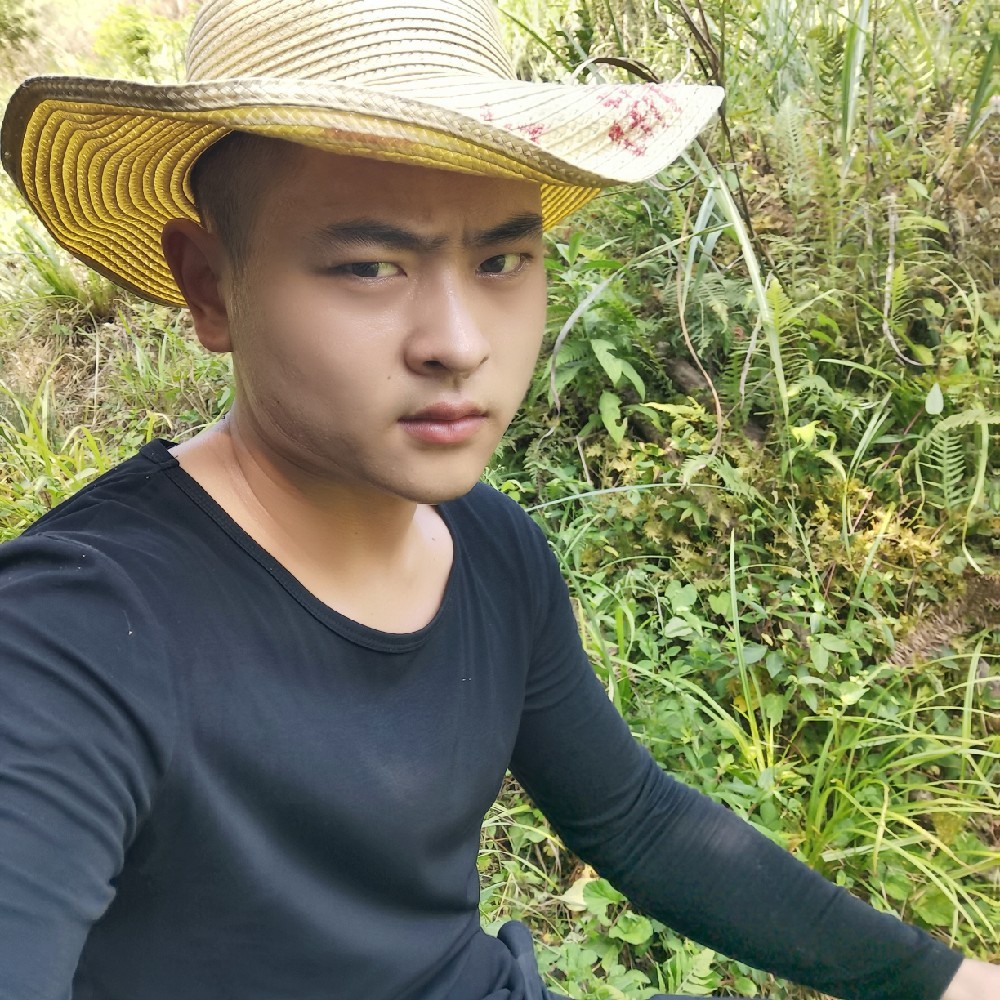 宝雕摩托车,BD200R报价及图片-摩托范-摩托车官网