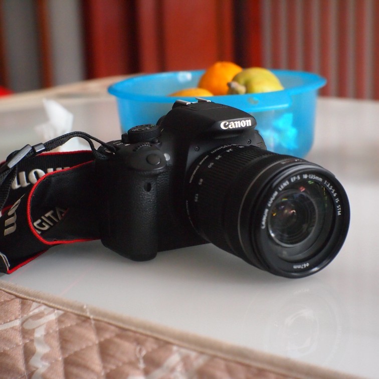 启典摩托车,KD150-G报价及图片-摩托范-摩托车官网