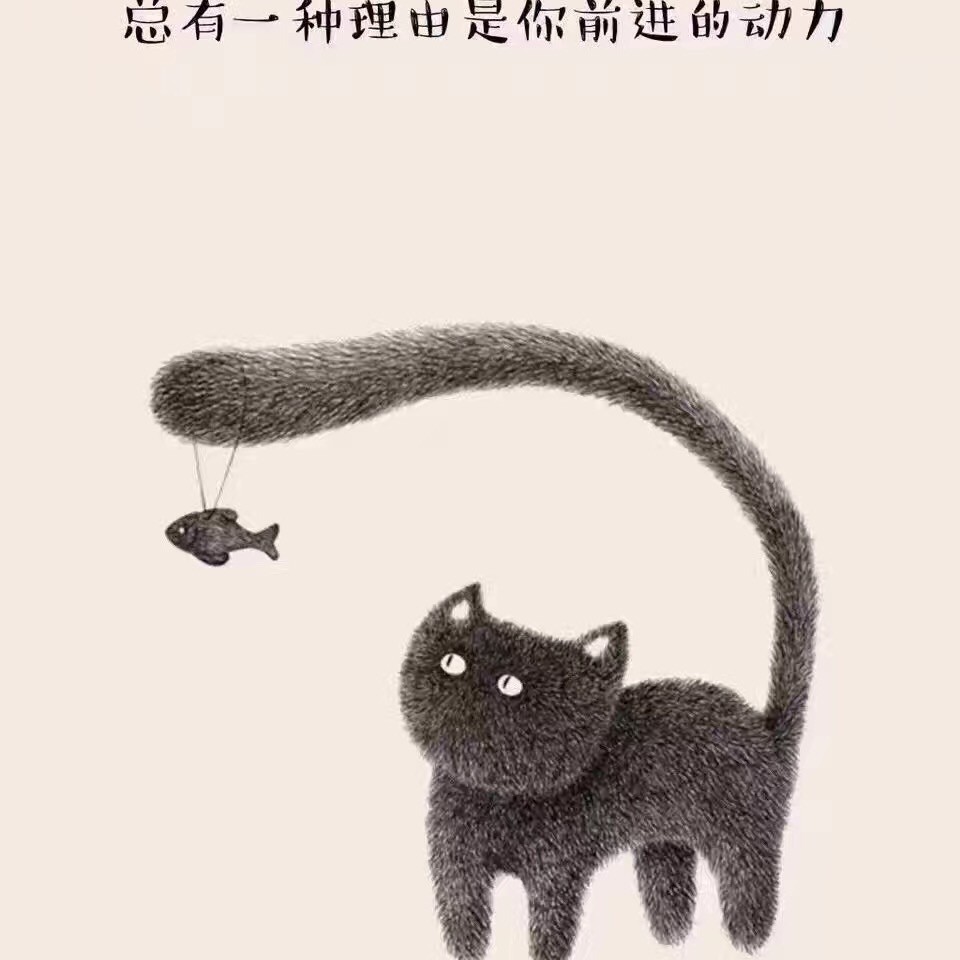 嘉陵摩托车,CoCo Cat 150T山猫报价及图片-摩托范-摩托车官网