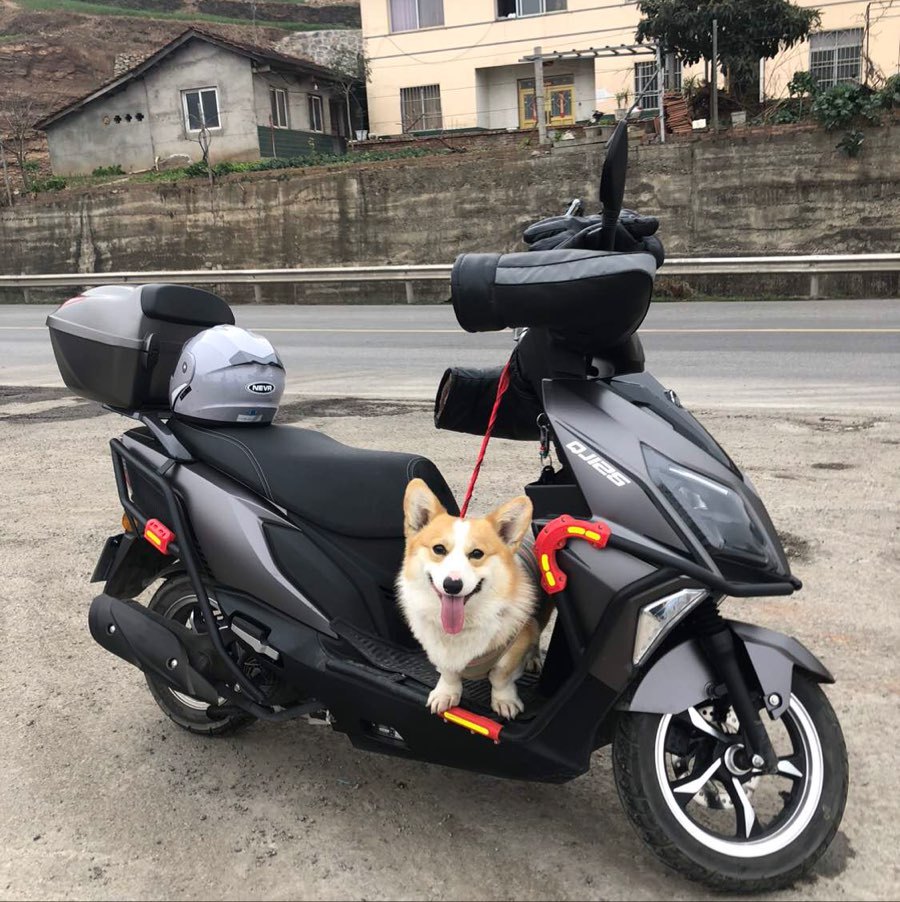 钱江摩托车,TAN125报价及图片-摩托范-摩托车官网