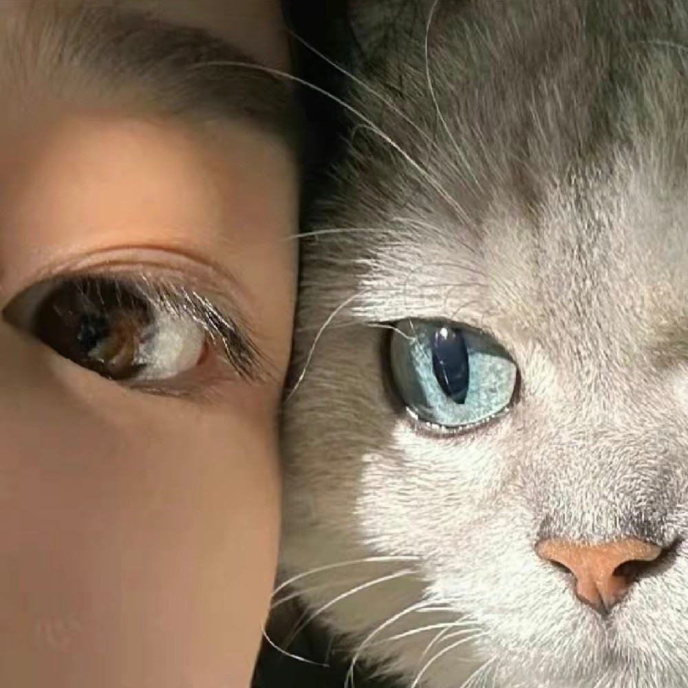 凯越摩托车,321F-Cafe报价及图片-摩托范-摩托车官网