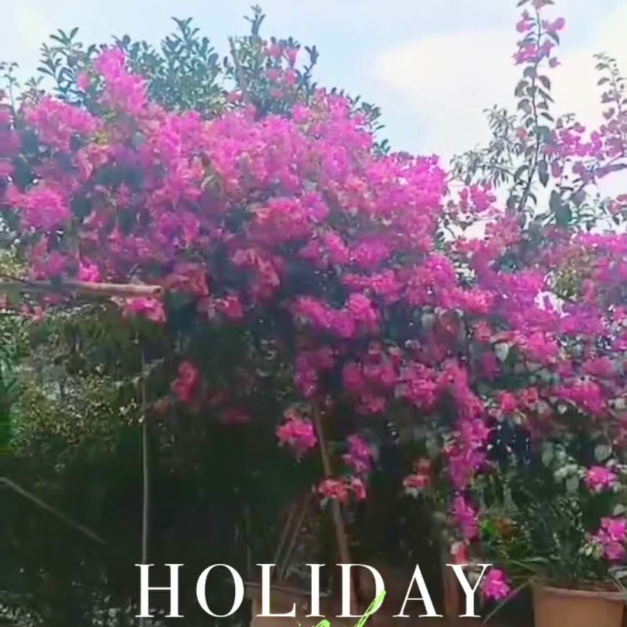 南方摩托车,梦拉丽莎 Melalisa150报价及图片-摩托范-摩托车官网